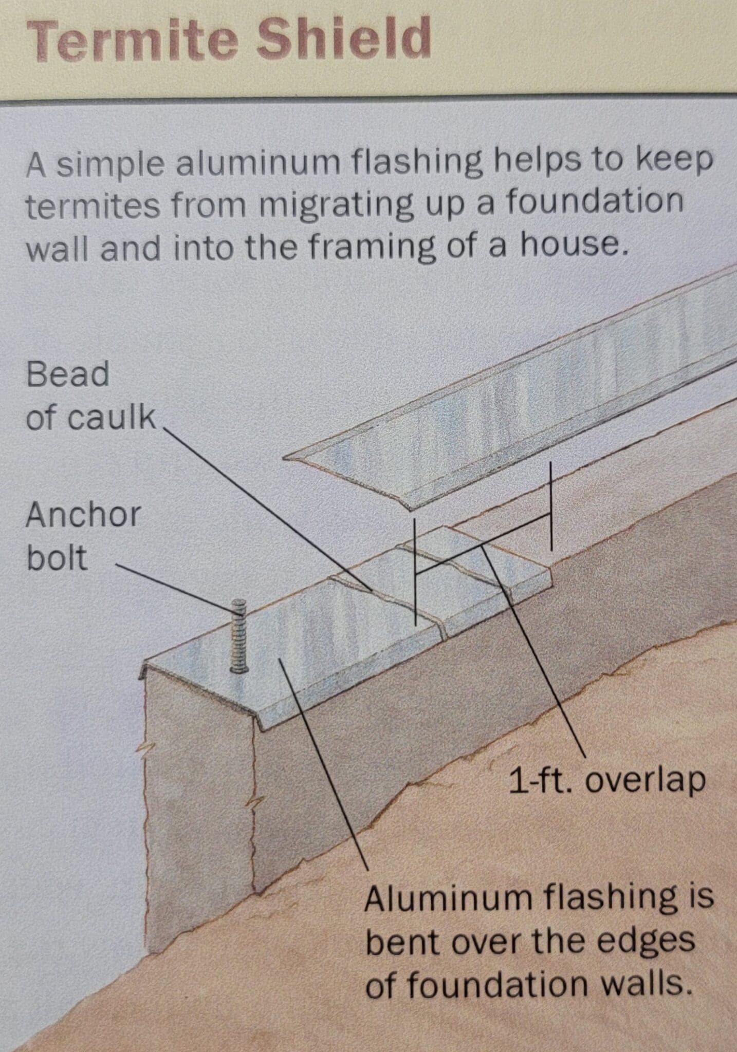 Termite Shield - Harbor Roofing - Best Roofers Service Brandon, Valrico ...