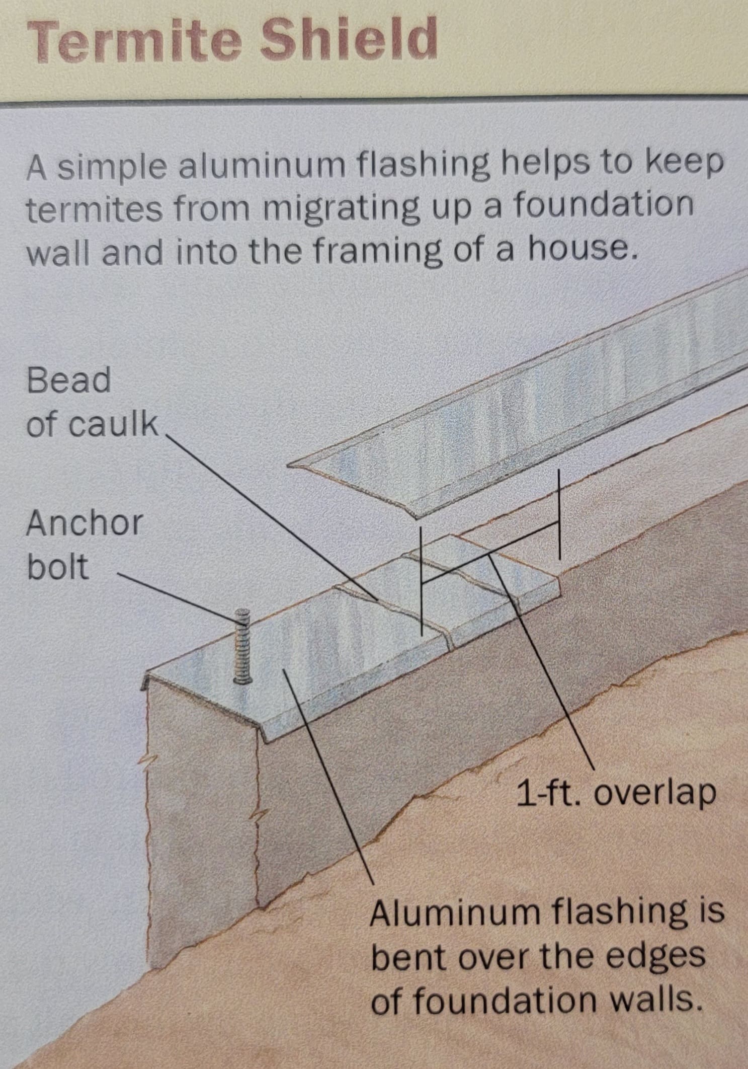 Termite Shield - Harbor Roofing - Best Roofers Service Brandon, Valrico ...
