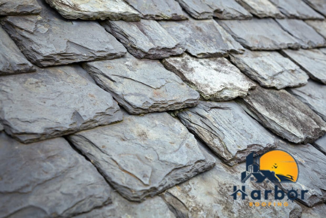 9 Types of Roofing Shingles: Pros and Cons - Harbor Roofing - Best ...