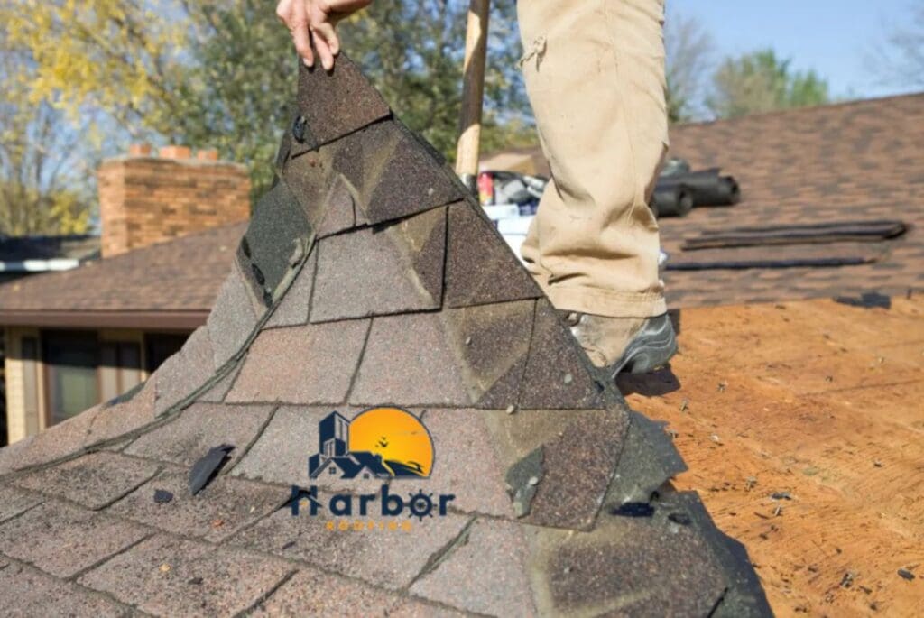 Roof Purlins: Everything You Need to Know | Harbor Roofing