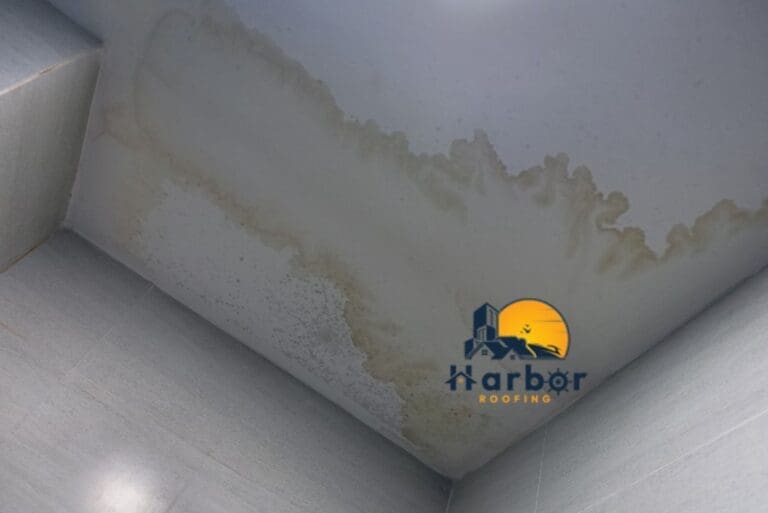 Ceiling Condensation: What Is It, and How Do You Prevent It? - Harbor ...