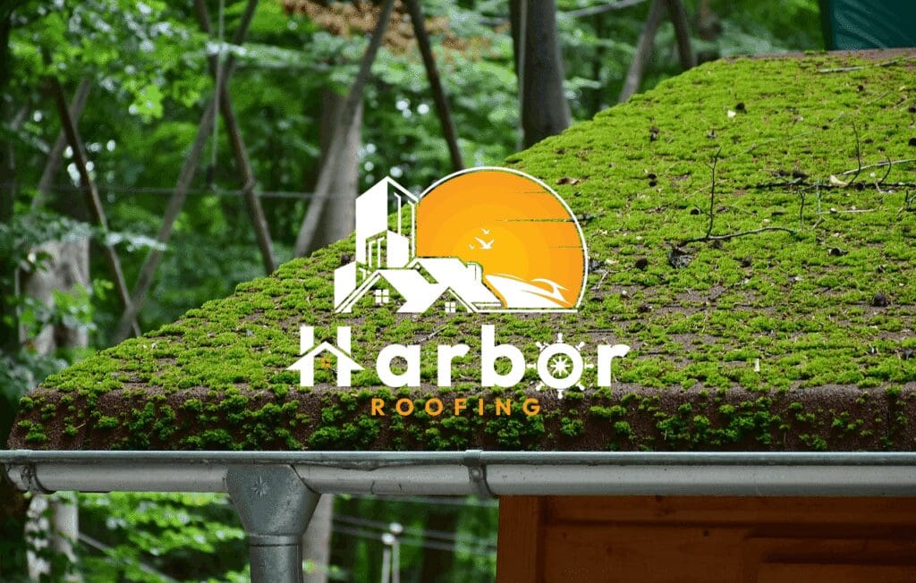 Roof Penetrations: What Are They and What Are the Types? | Harbor Roofing